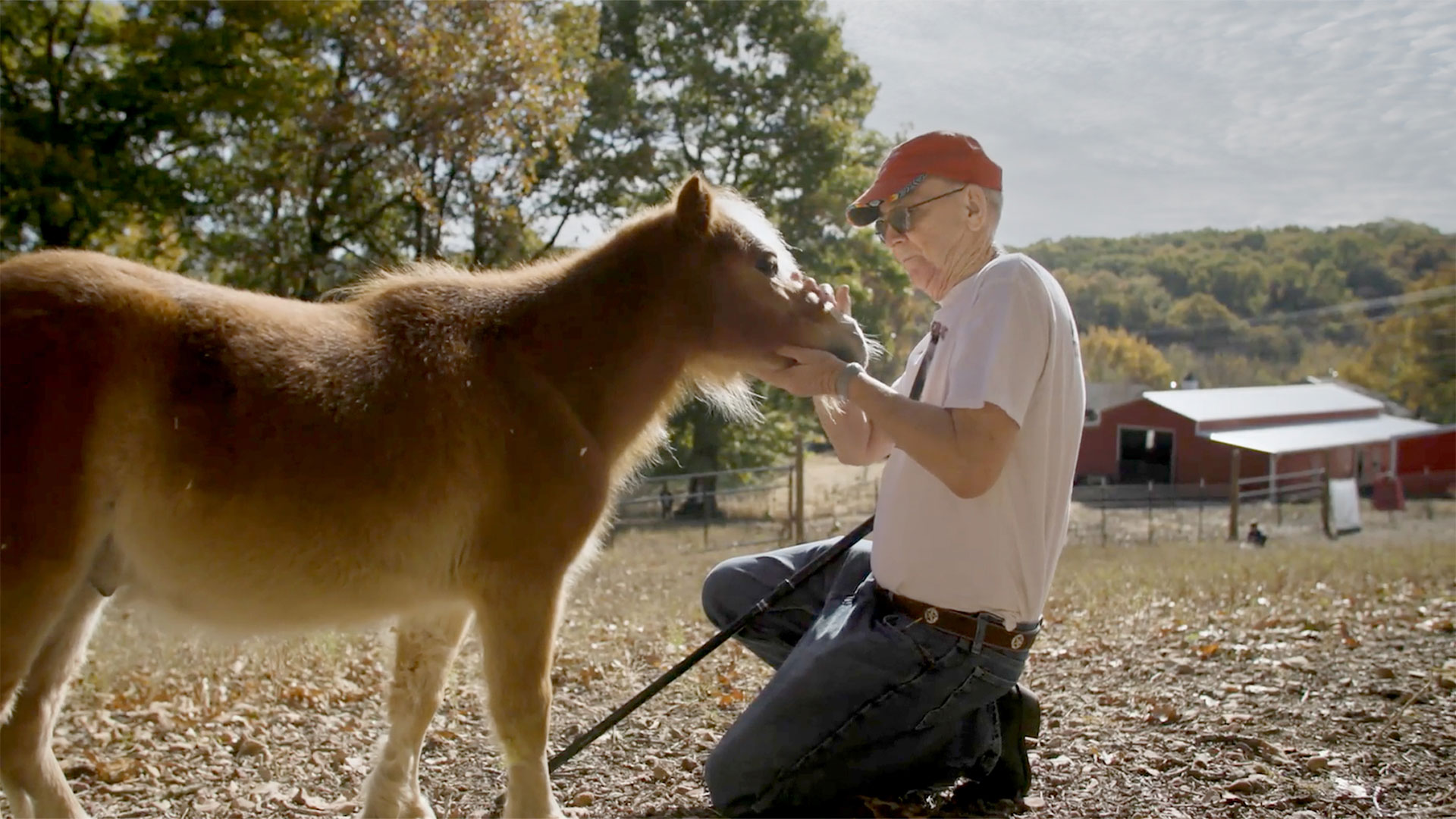 Horses and Art: Cherokee Artist John Guthrie | OsiyoTV